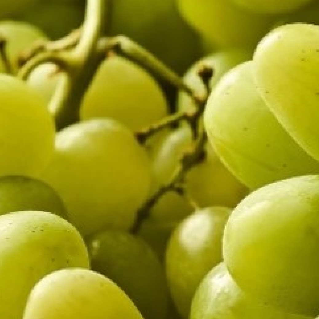 Nutraceutical Products Ingredients | Akay Bioactives