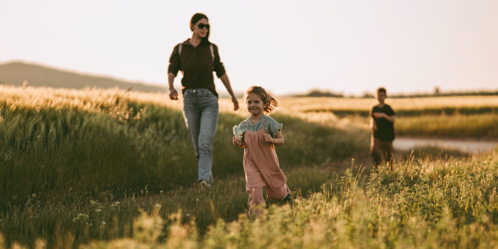 Herbal Extract Manufacturer in USA | Akay Bioactives