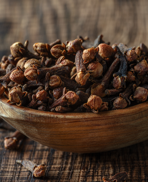 Clove Extract Manufacturer in USA | Akay Bioactives